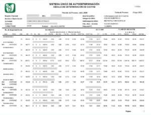 Cálculo de cuotas Obrero-Patronales en el SUA - Runa HR